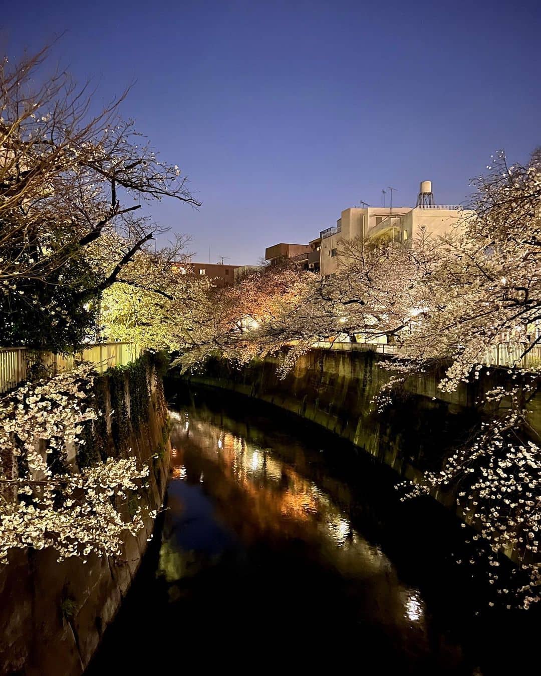 Top 10 Instagrammable Spots In Kyoto, Japan - Just In Travel